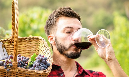 Co je enolog a enoložka? | Přečtěte si více na Dudlu.cz